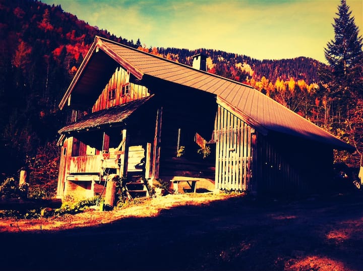 Amazing Cabin In The Mountains - Abtenau