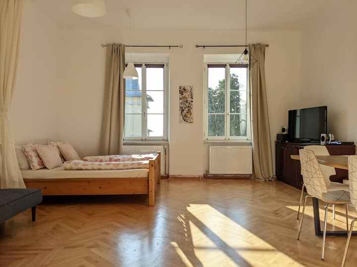 ÜBer Den Dächern Von Graz Im Villenviertel - Graz