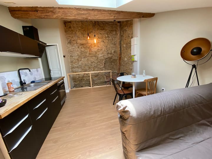 ⭐️⭐️⭐️ Villa Des Cordeliers - Appt 3 ✨✨✨ Centre Ville - Mont-de-Marsan
