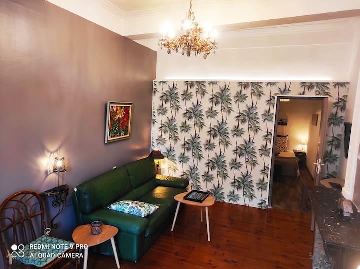 50m2 Centre Historique Pézenas 1er éTage Le Quatre - Pézenas