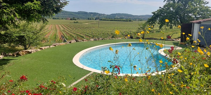 Gîte Sauvignon Au Coeur Du Vignoble - Puy-l'Évêque