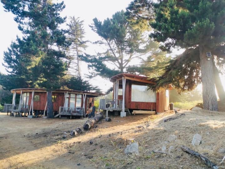 Kimche Lodge Pichilemu: Cabañas1 - Pichilemu