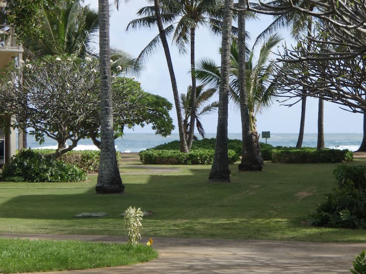 Beach Front With An Ocean View Condo - Kauai, HI