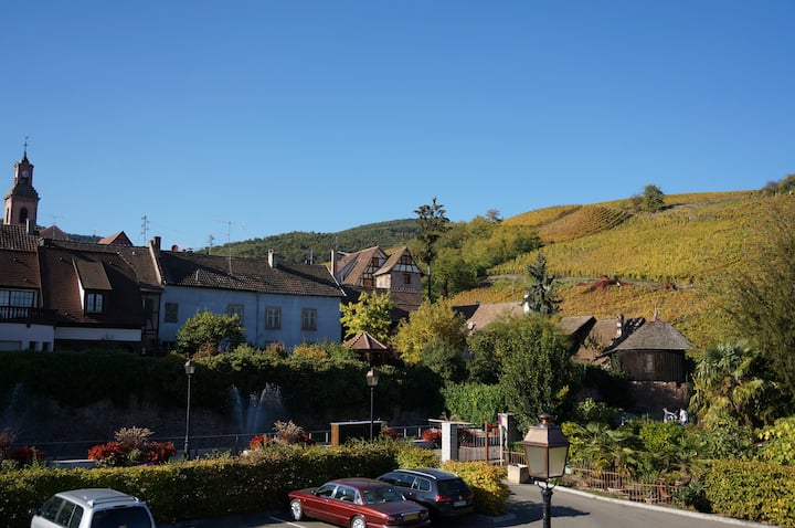 Riquewihr - Maison Des Vendangeurs / Le Balcon ! - Alsace