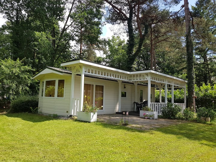 Bos Chalet 518 Te Lochem - Lochem