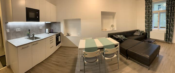 Spacious Nest - Praga