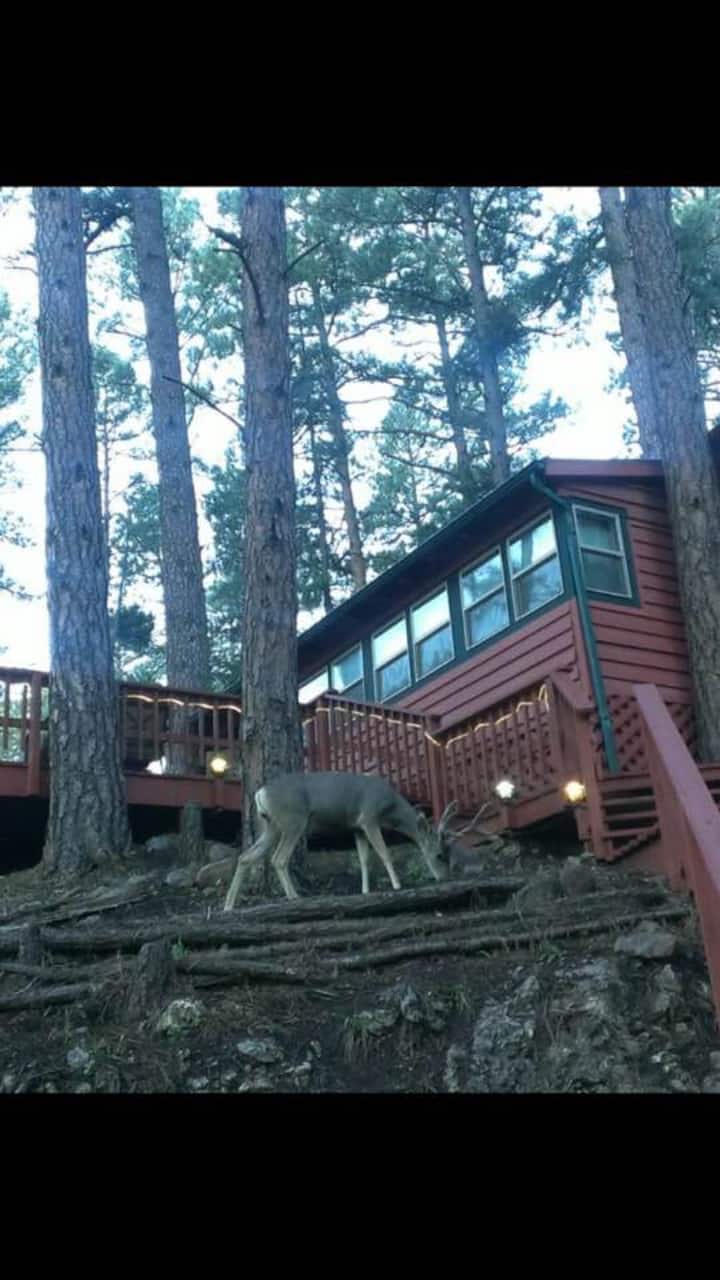 Favorite Red Cabin - Pool Table-wifi-super Host - Ruidoso, NM