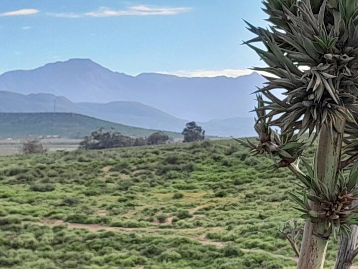 Private Room Airbnb - Oudtshoorn