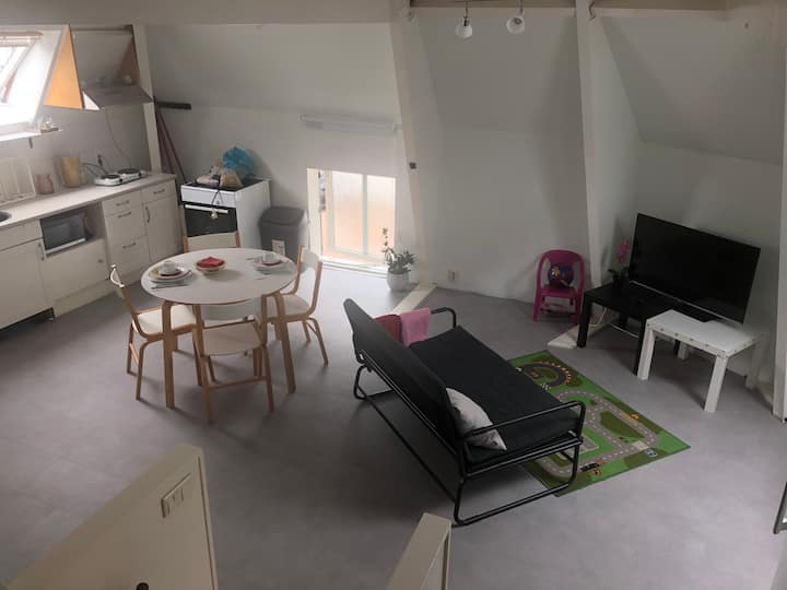 15mins To Amsterdam Free Parking Entire Apartment - Weesp