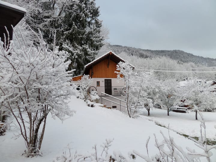 P'tite Maison Avec Jardin à La Montagne - Lac du Môle