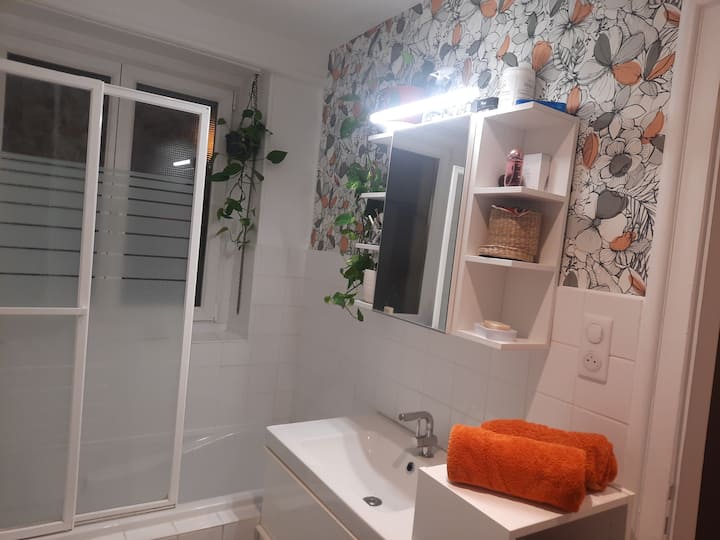 Bel Appartement Familial Avec Balcon - Straatsburg
