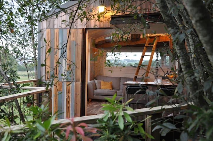 The Hideout, Romantic Tree House getaway Wexford 【 SEP 2021 】 Treehouse ...