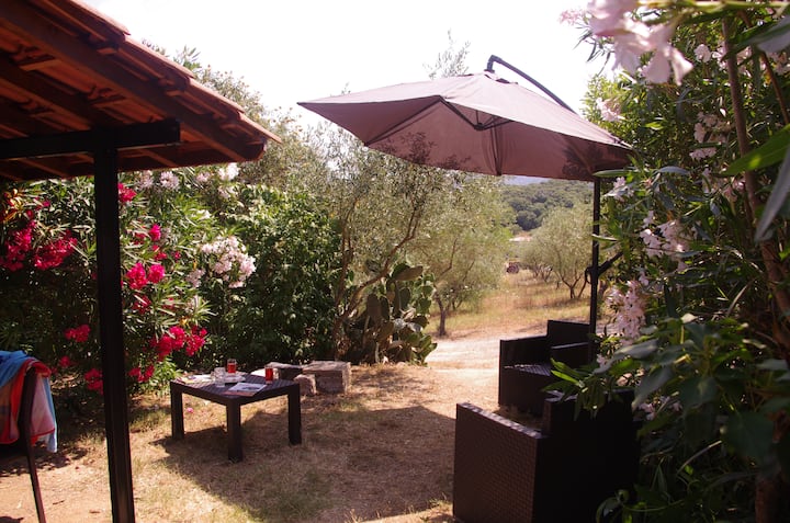A Nocca, Sea 6 Km, Panoramic Mountain Views, Wifi, Air-conditioning - Corsica
