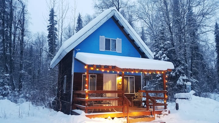 Talkeetna Blueberry Chalet: Enjoy The Woods! - Talkeetna, AK