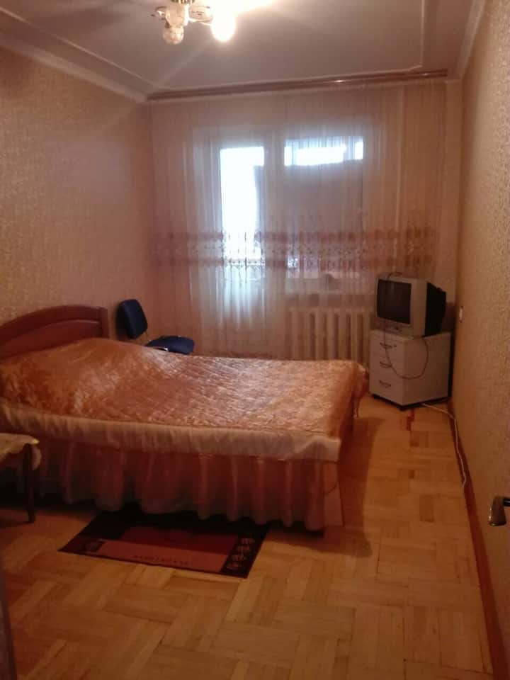 Viktor’s Big  Apartment - Борисполь