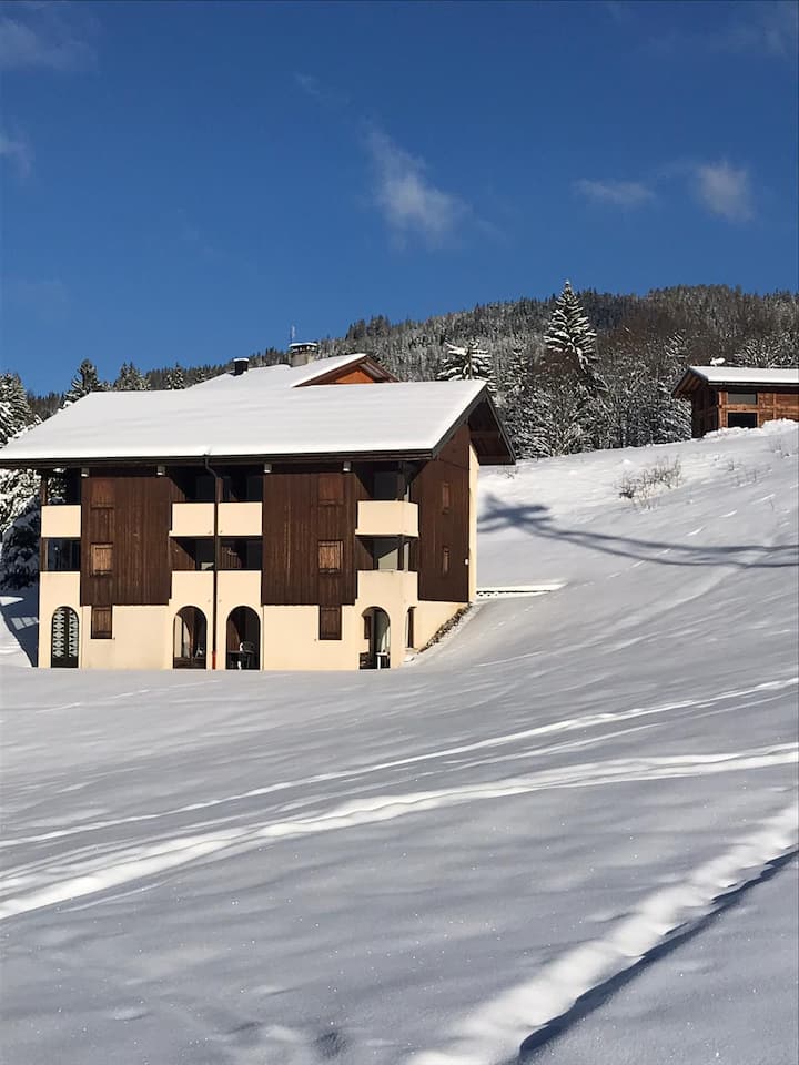 Appartement Duplex 6 Pers Sur Les Pistes,2 Chambr - Les Gets