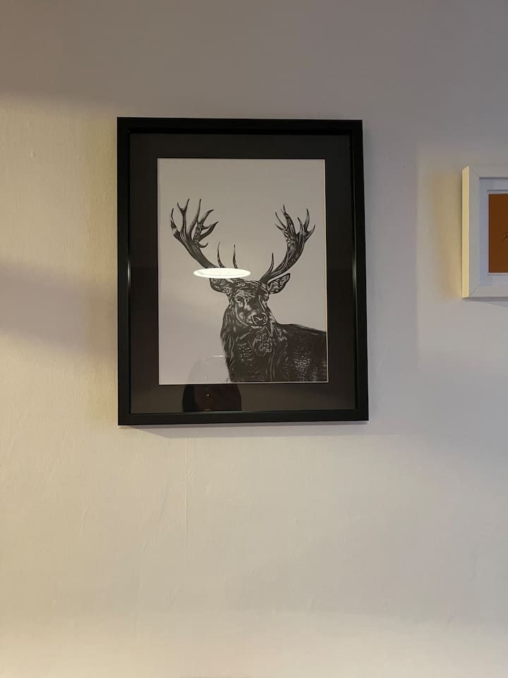 1 Br Apartment In Old Town (Nicolson Street) - Edinburgh