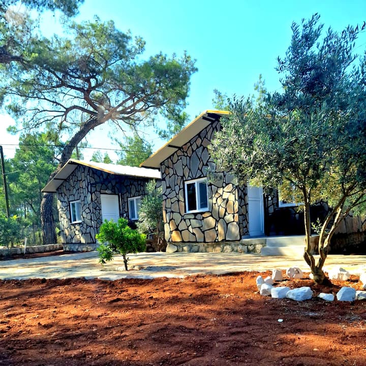 Coconut Apart Olympos5 - Çıralı