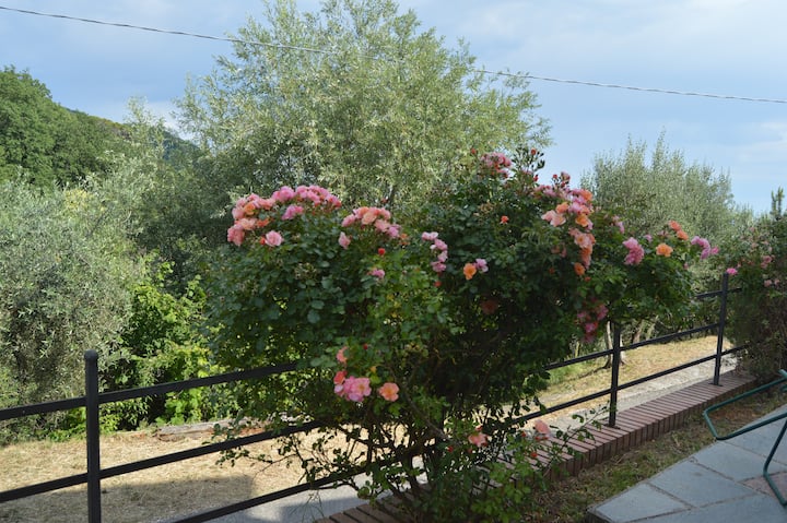 Appartamento -Casa Sarticola - Carrara