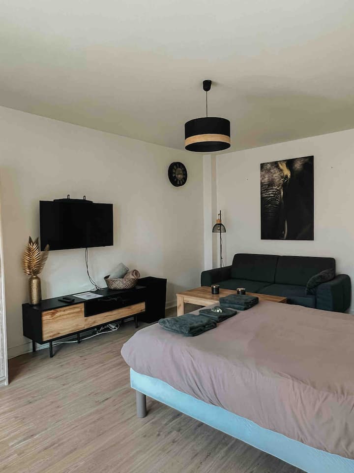 Studio 35m² Hyper Centre Chambéry - Le Bourget-du-Lac