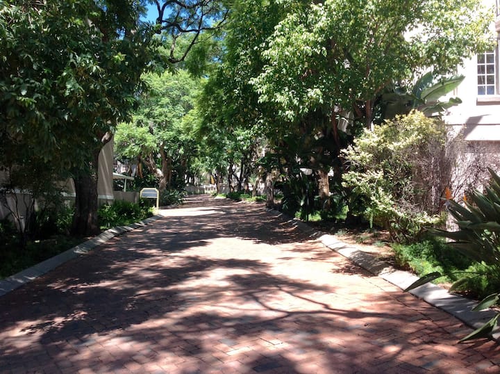 Secure Flat Near Morningside + Sandton Mediclinics - Sandton