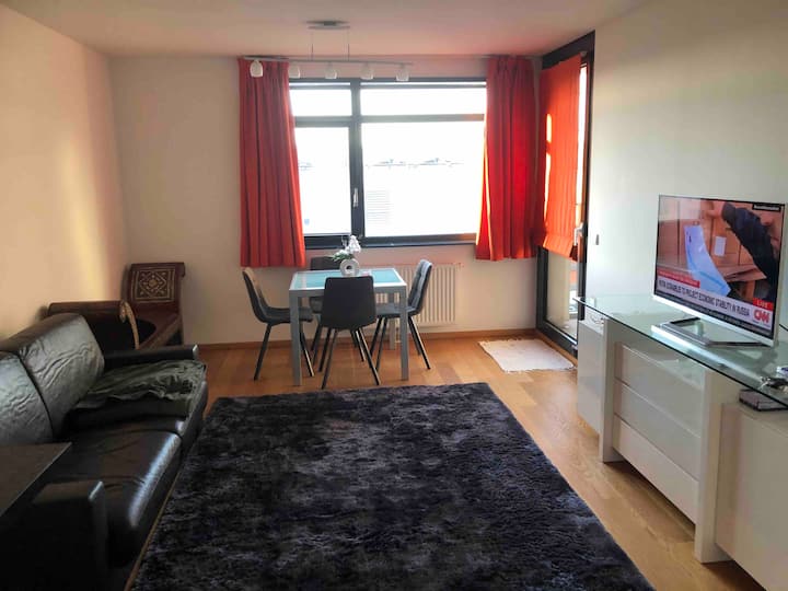 Modern Bright And Attractive Apartment - Esch-sur-Alzette