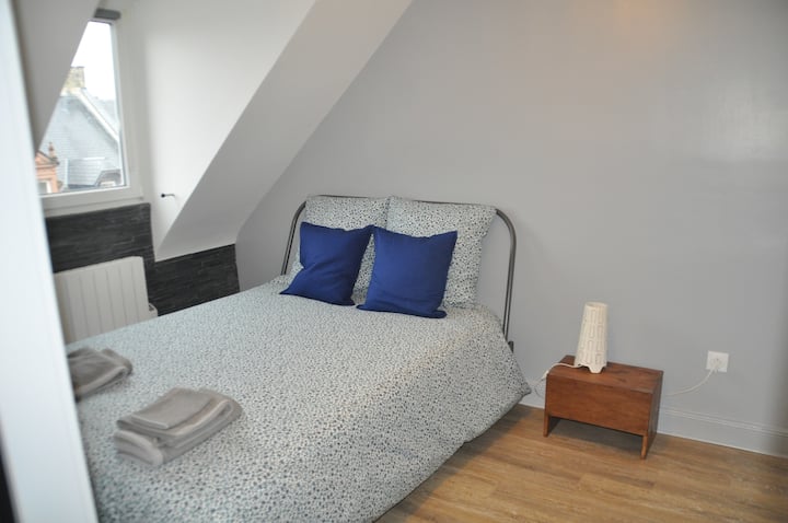 Studio De Charme Prox Hyper Centre. - Robertsau