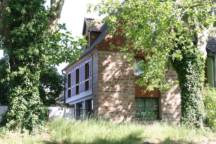 Domaine Muller Koeberle
Chambre N°3 - Bergheim, France