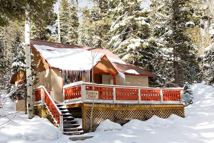 Taos Mountain Cabin - Taos Ski Valley, NM