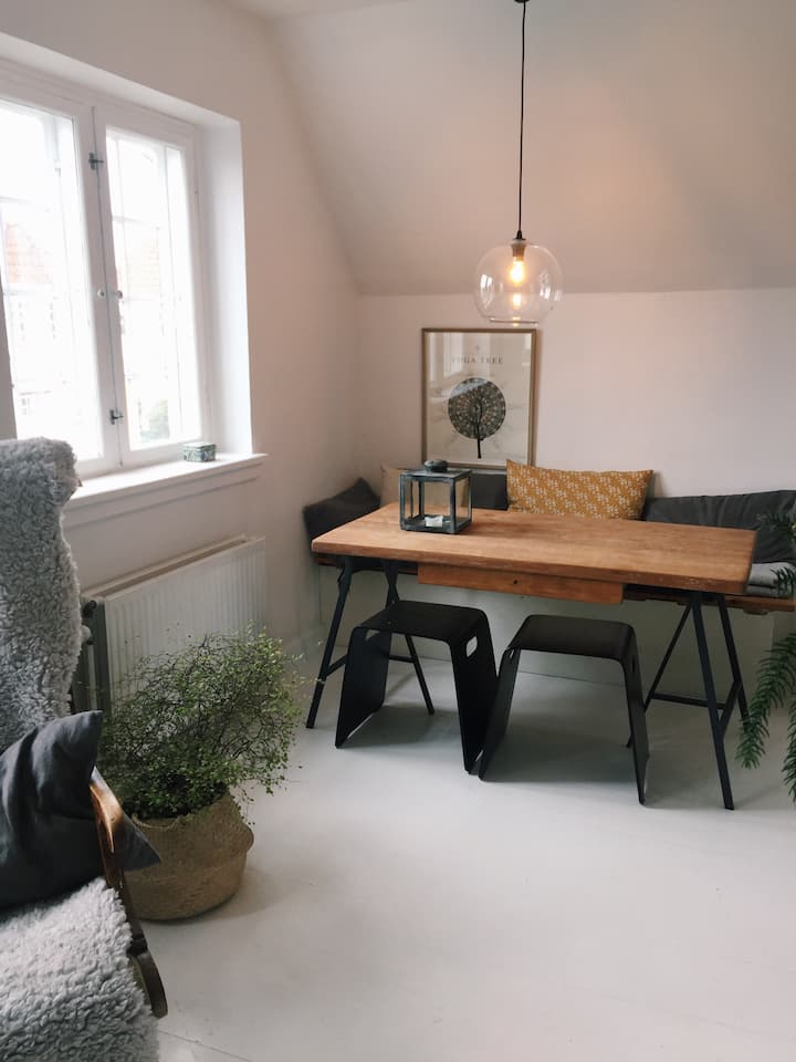 Vidunderlig Lejlighed I Charmerende Villa - Copenaghen