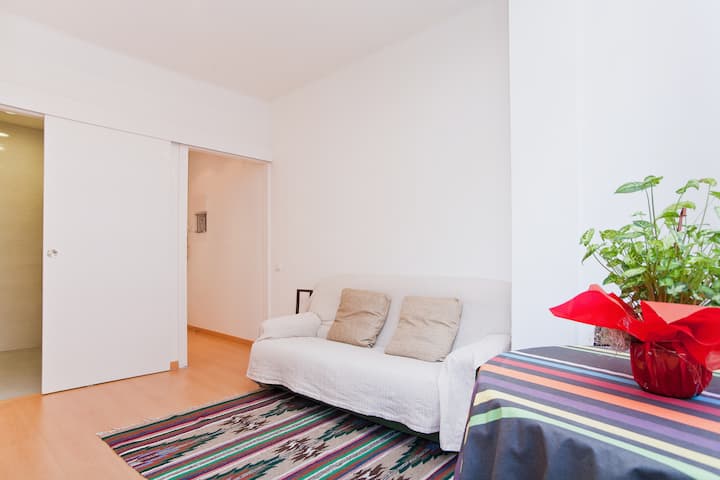 Comfortable Apartment (Promo 3 Pax) - Barcelona