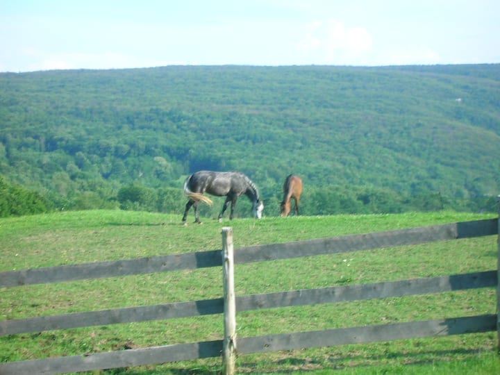 Mountain Top Farm House With Sauna! - Kerhonkson, NY