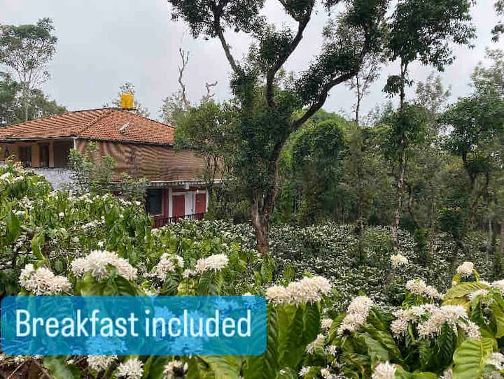 Madikeri Holiday Rentals & Homes - Karnataka, India | Airbnb
