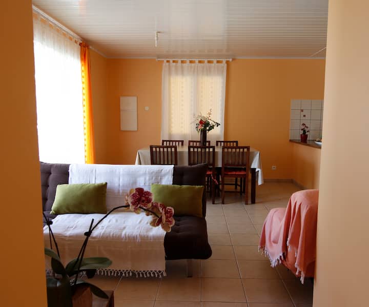 Location Meublée à Petite-ile - L'anthurium - Réunion