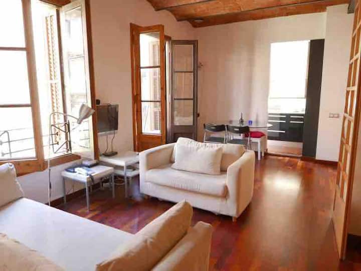 Stylish And Centric Apartment In Barcelona