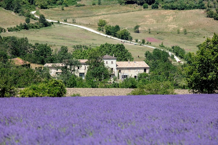 Ferme Design - Nature De Rêve - Crest