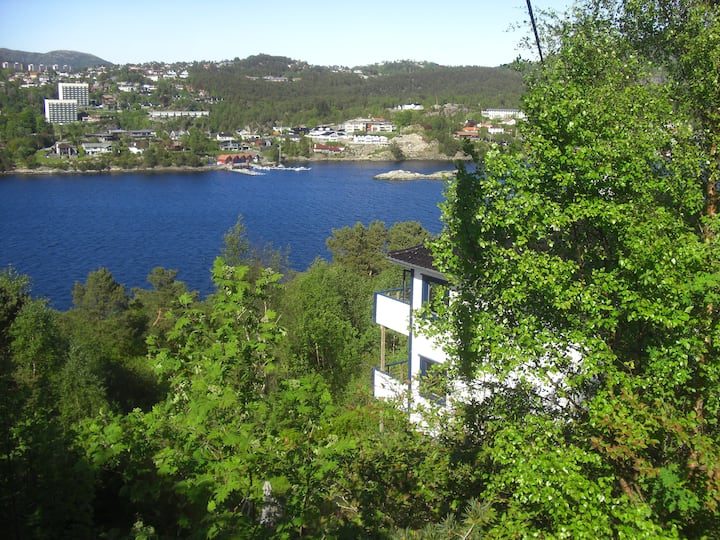 Whole Apartment With Amazing View. Free Parking. - Bergen, Noruega