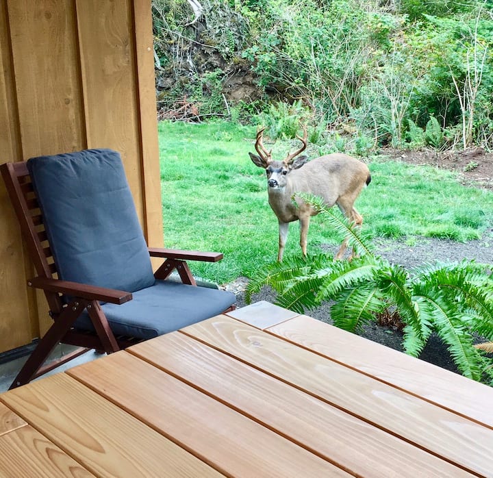 6 Best Cabin Rentals In Sooke, Canada - Updated 2022 | Trip101