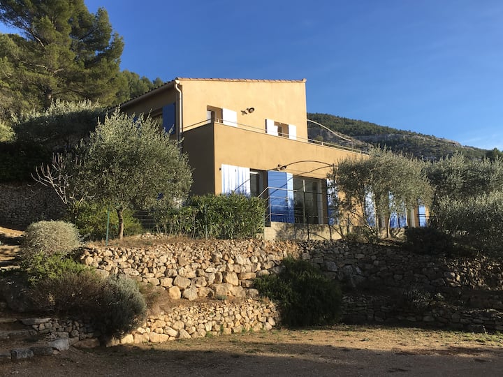 Grande Villa Au Milieu Des Oliviers - Frankreich