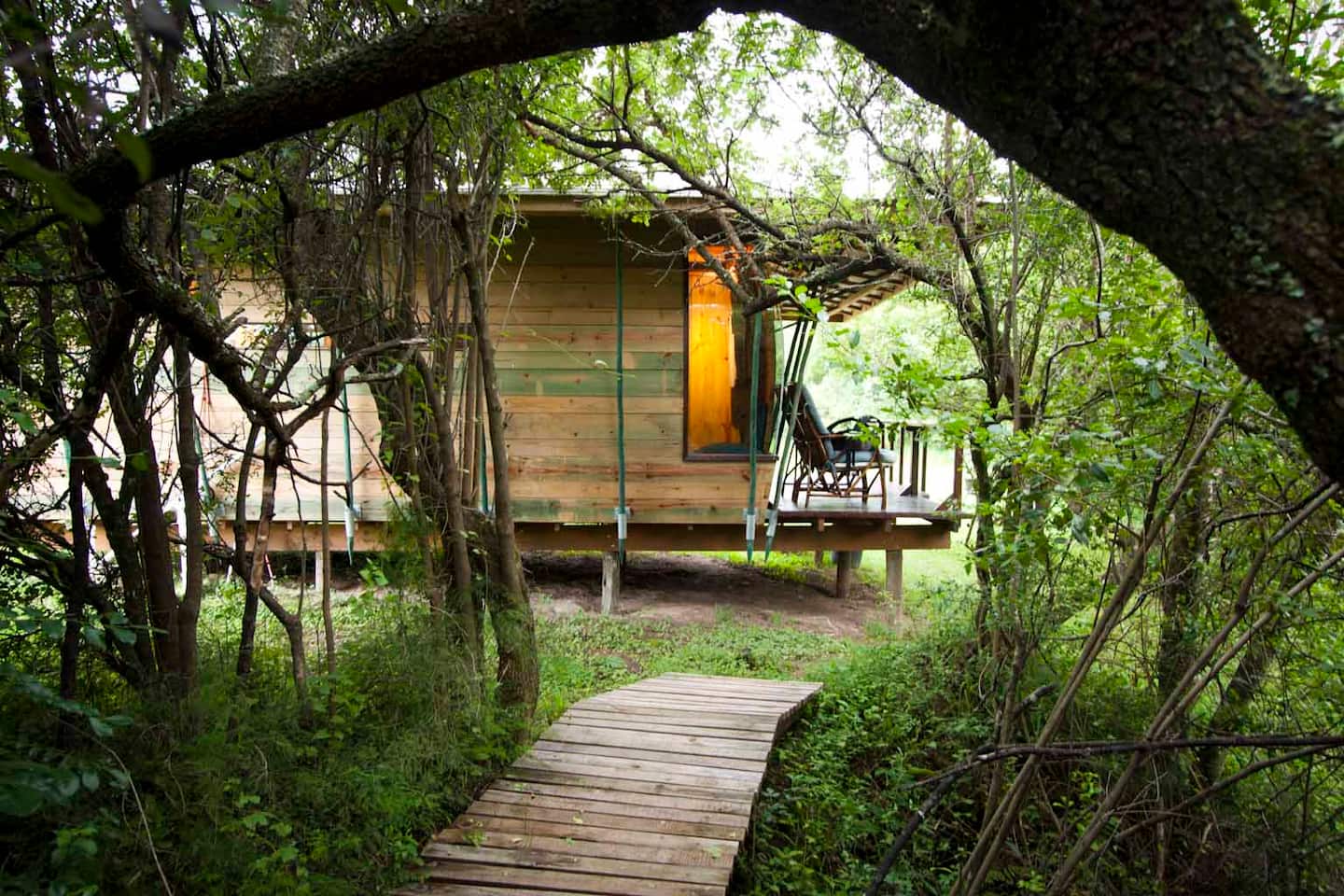 Western Cape Treehouse Vacation Rentals - South Africa | Airbnb