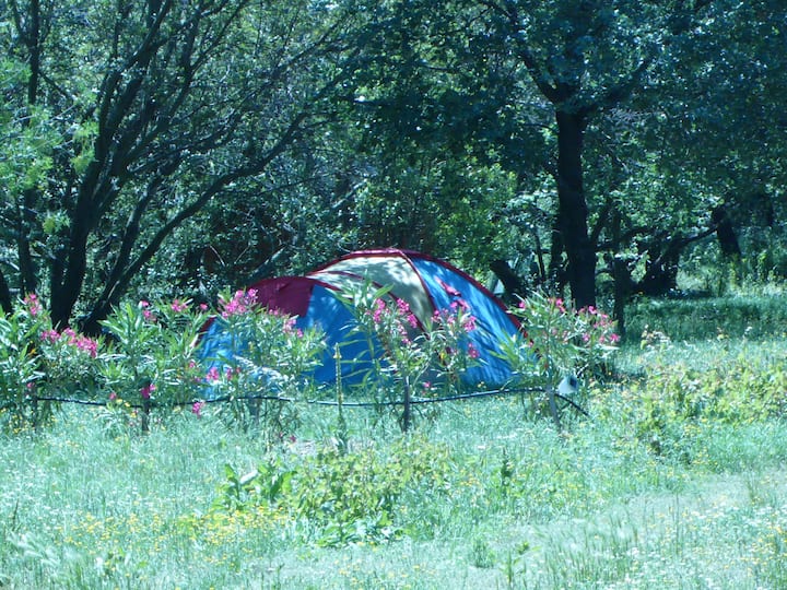 Camping A La Ferme  4 Pers - Ille-sur-Têt
