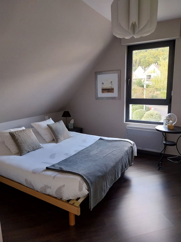 Chambre D'hôte - Munster