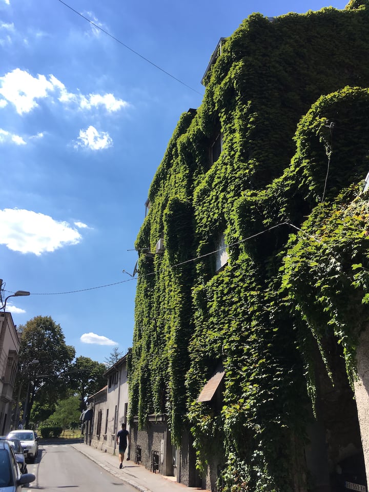 Apartment Park In The Heart Of Belgrade - Belgrade