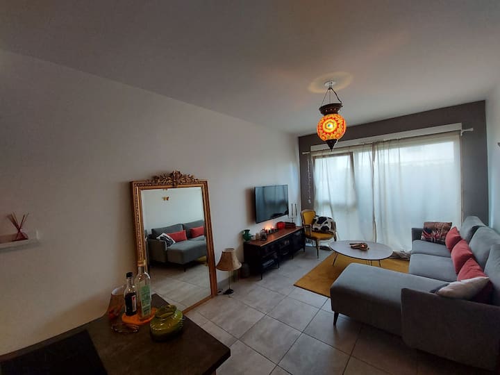 Appartement 42 M² Plein De Charme - ibis Lyon Carre De Soie