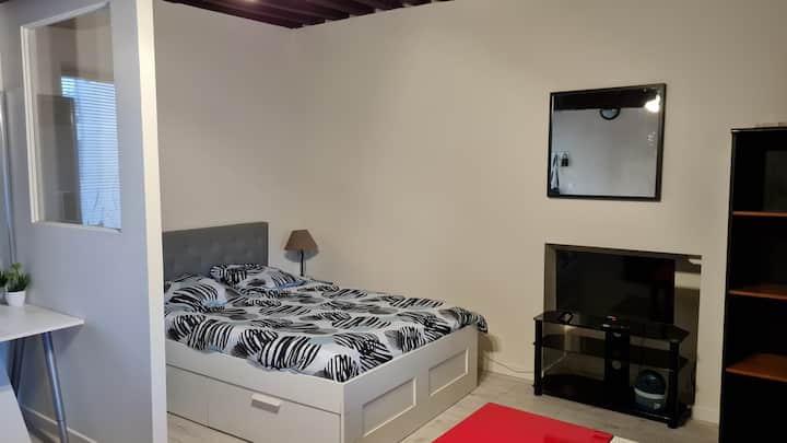 Grand Studio Centre Ville - Dijon