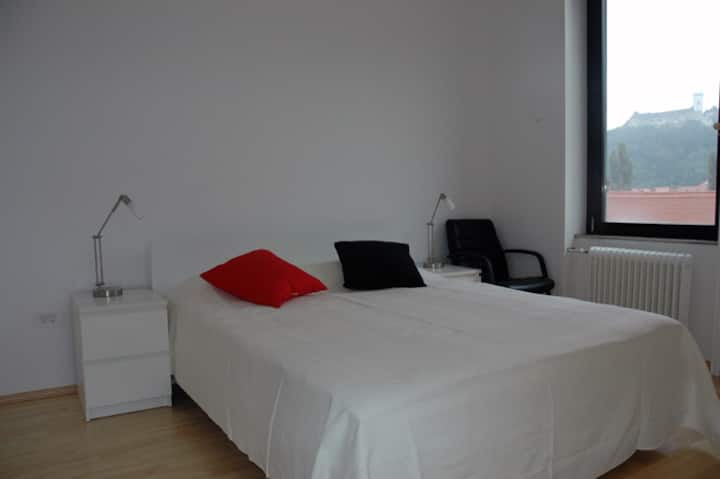 Modern And Cozy Apartment In Ljubljana’s Center 42 - Ljubljana