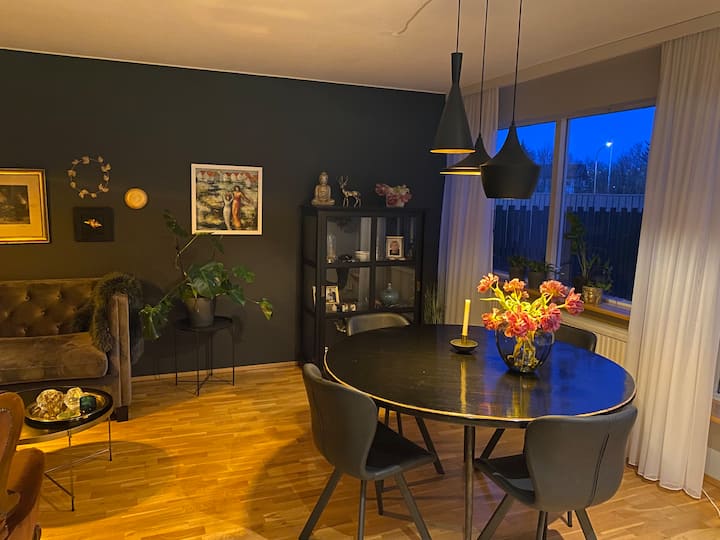 Central Reykjavik Cozy, Quiet Apartment - 雷克雅維克