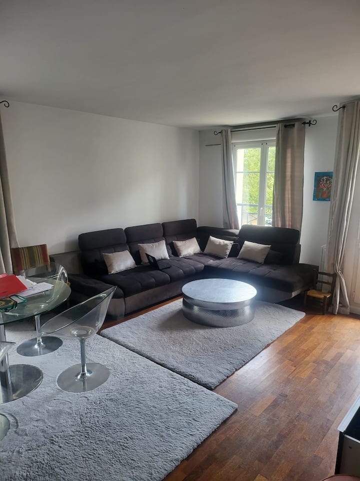 Très Beau Appartement - Maisons-Alfort
