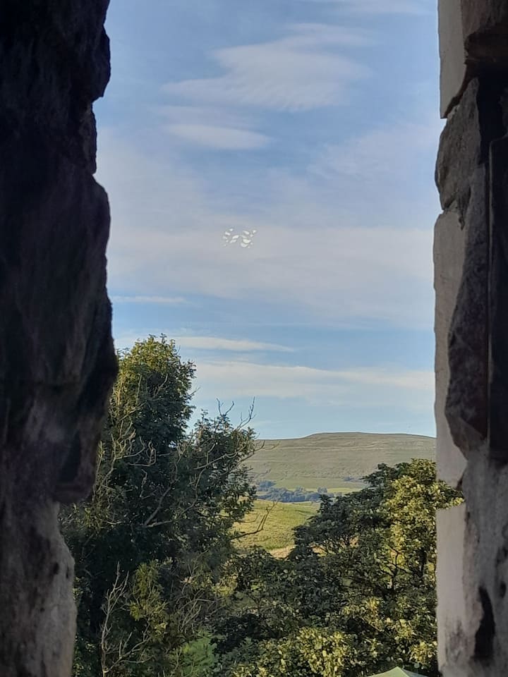 The Nest @ Dodds Hall - Hawes