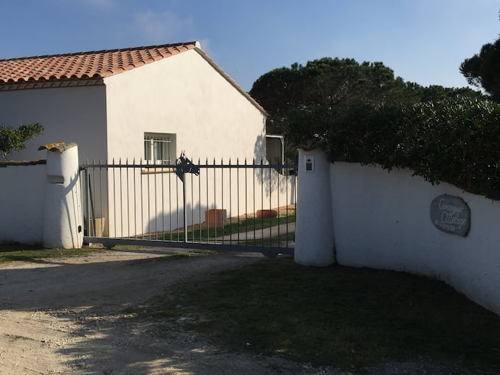 Mas De" Camargue Attelage" - Saintes-Maries-de-la-Mer